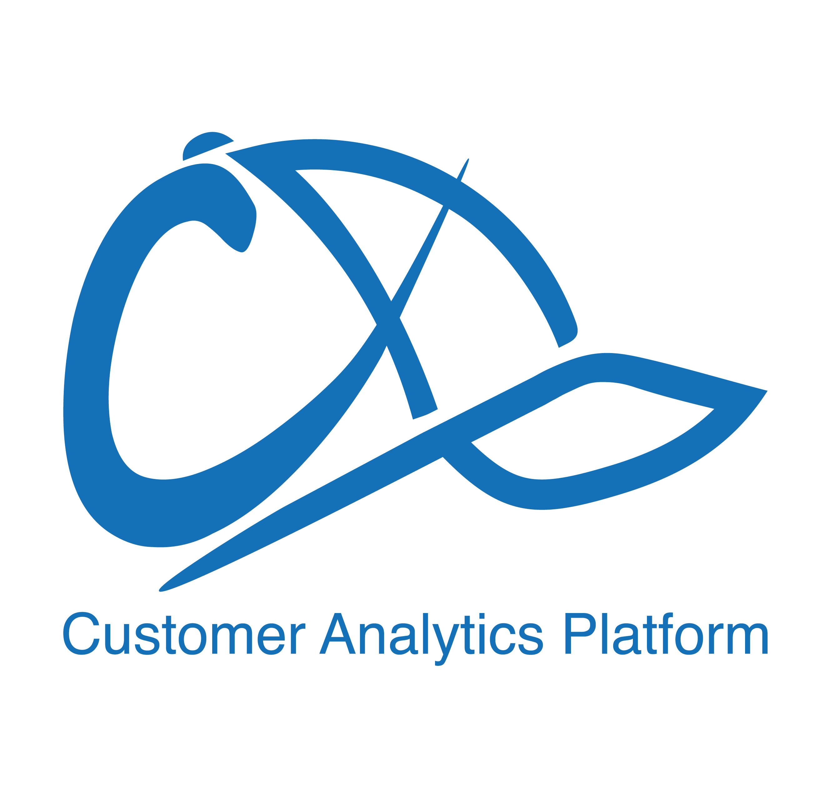CAP (Customer Analytics Platform)